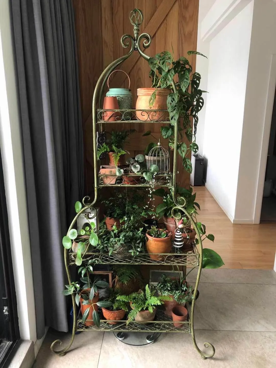 Bird-Cage-Shape-Flower-Stand-Display-Rack-Rectangle-Shelves-for-Plants ...