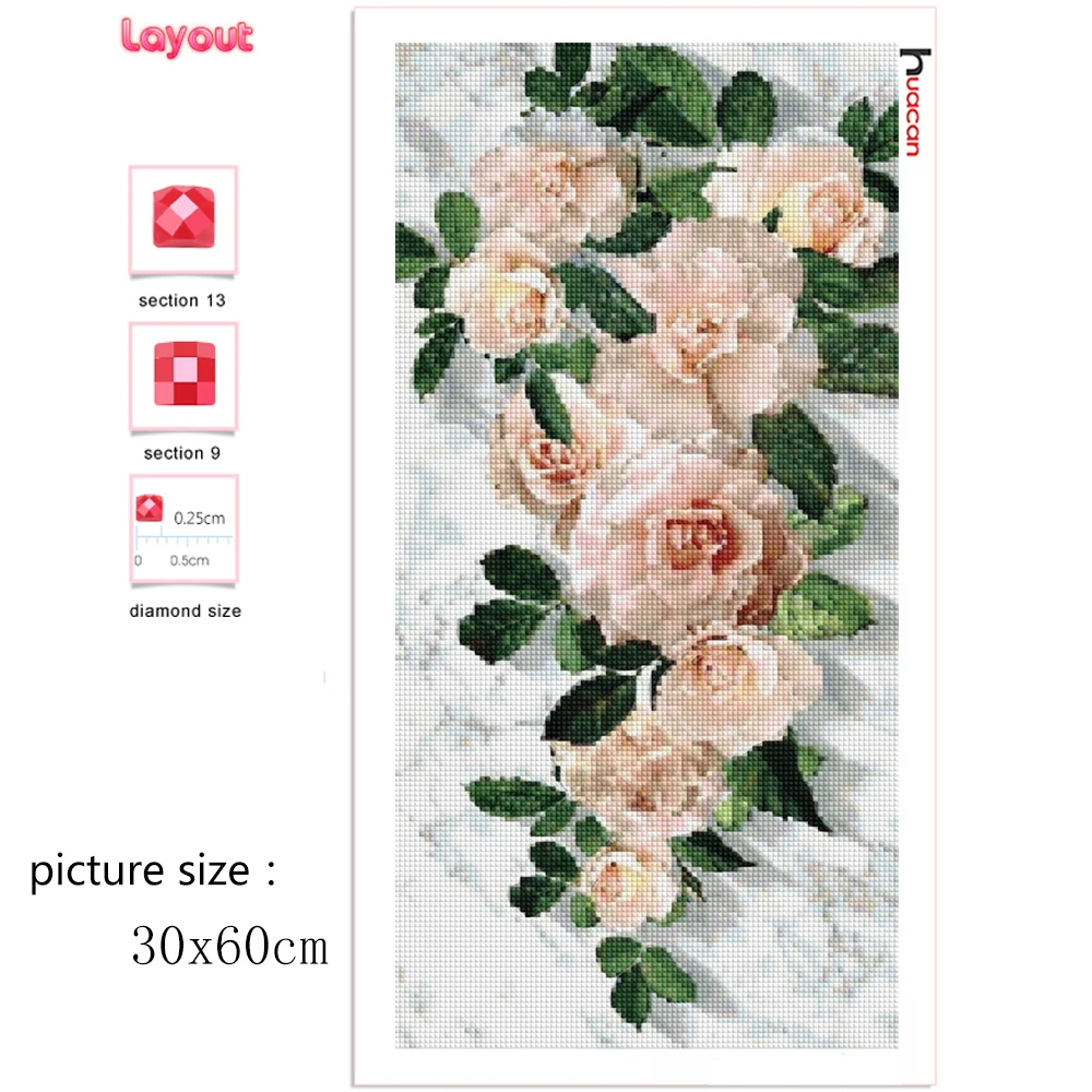 Cross Section Of A Rose