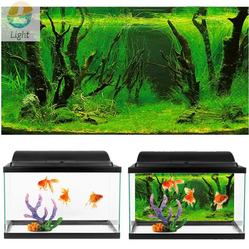 Tropical Fish Tank Background
