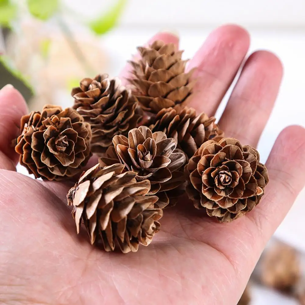 20Pcs-Attractive-Fake-Pine-Cone-Natural-Decorative-DIY-Simulation ...