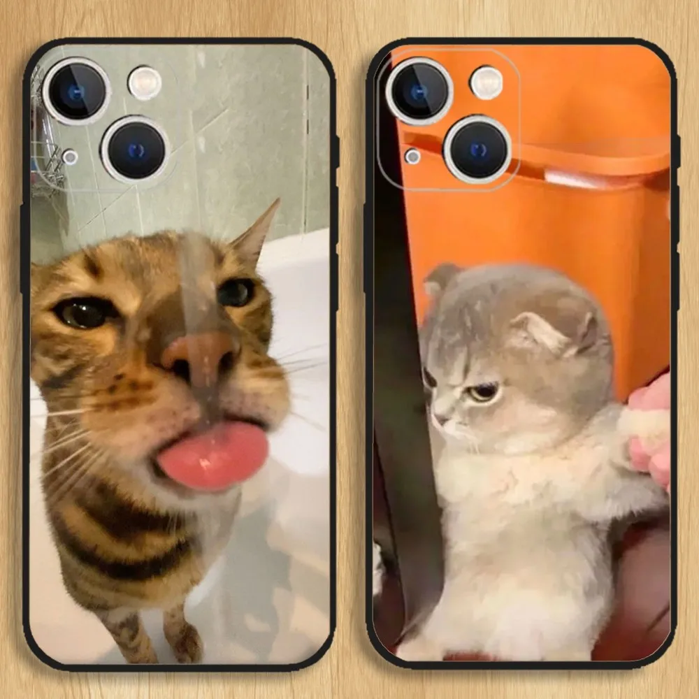 Funny Cat Memes Phone Case For iPhone15,14,13,12,11,Pro,Max,Plus,Mini,X ...