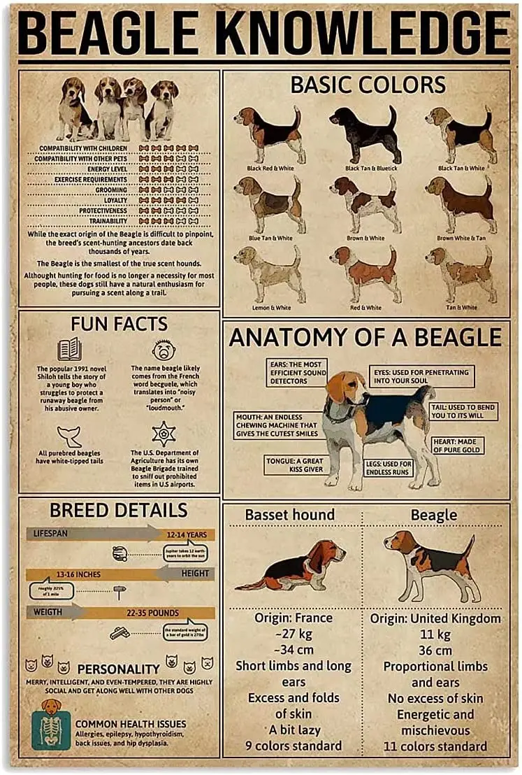 Beagle-Dog-Knowledge-Metal-Tin-Signs-Printing-Poster-Barbershop-Bedroom ...