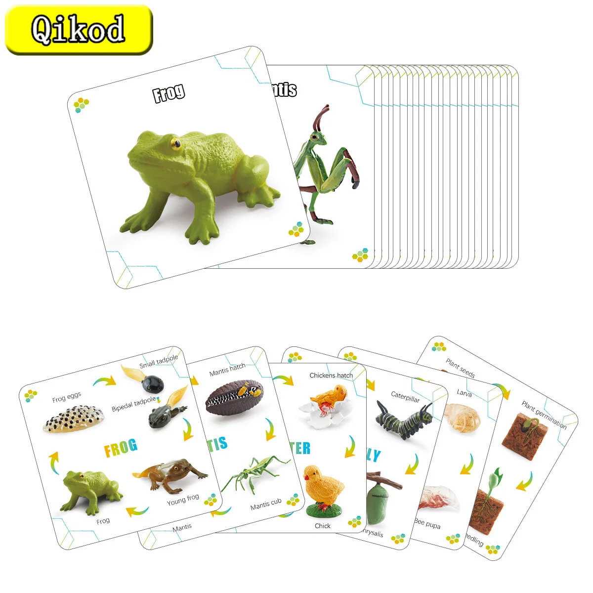 Children-s-Enlightenment-Cognition-Animal-Insect-Plant-Life-Growth ...