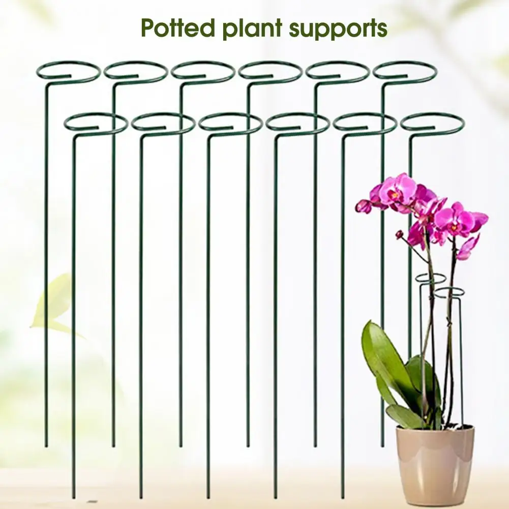 5Pcs Plant Growth Pole Stake Metal Single Stem Plant Support Stand ...
