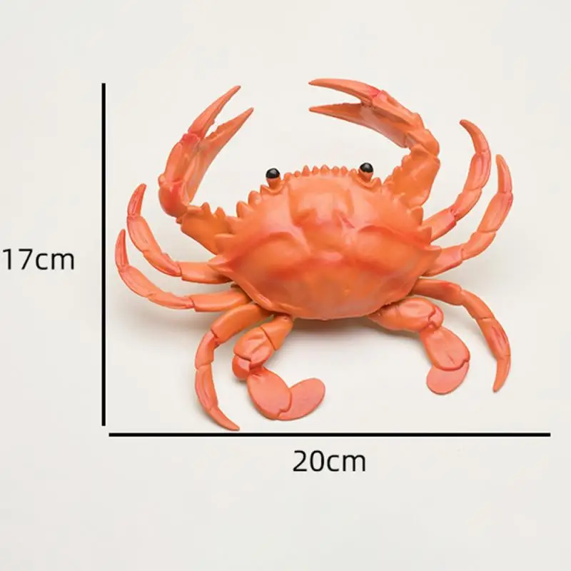 Simulation-Model-Animal-Scene-Props-Education-Cognitive-4-6-Years-Old ...