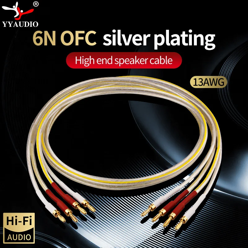 HIFI-Silver-plated-Speaker-Cable-High-end-6N-OFC-Speaker-Wire-for ...