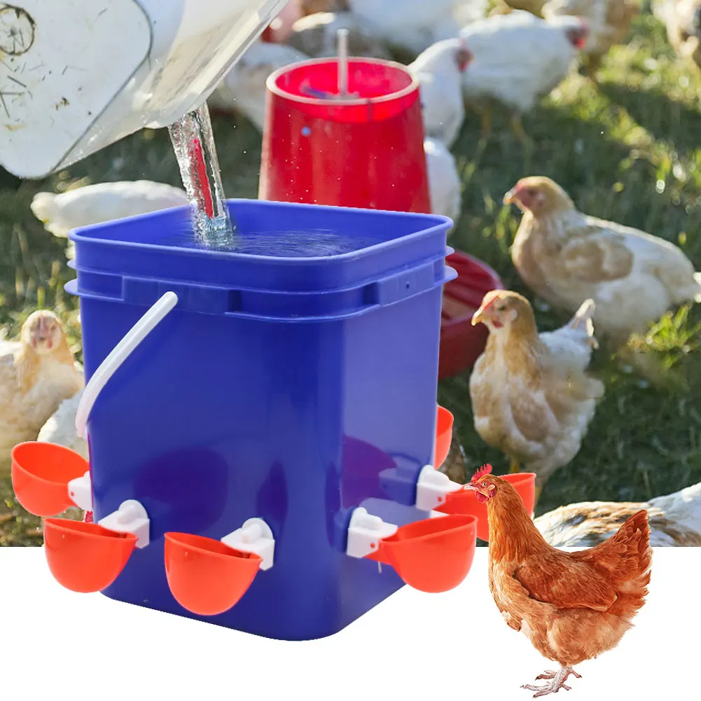 10L-Blue-Chicken-Duck-Goose-Bucket-Chicken-Feeder-and-Waterer-with ...