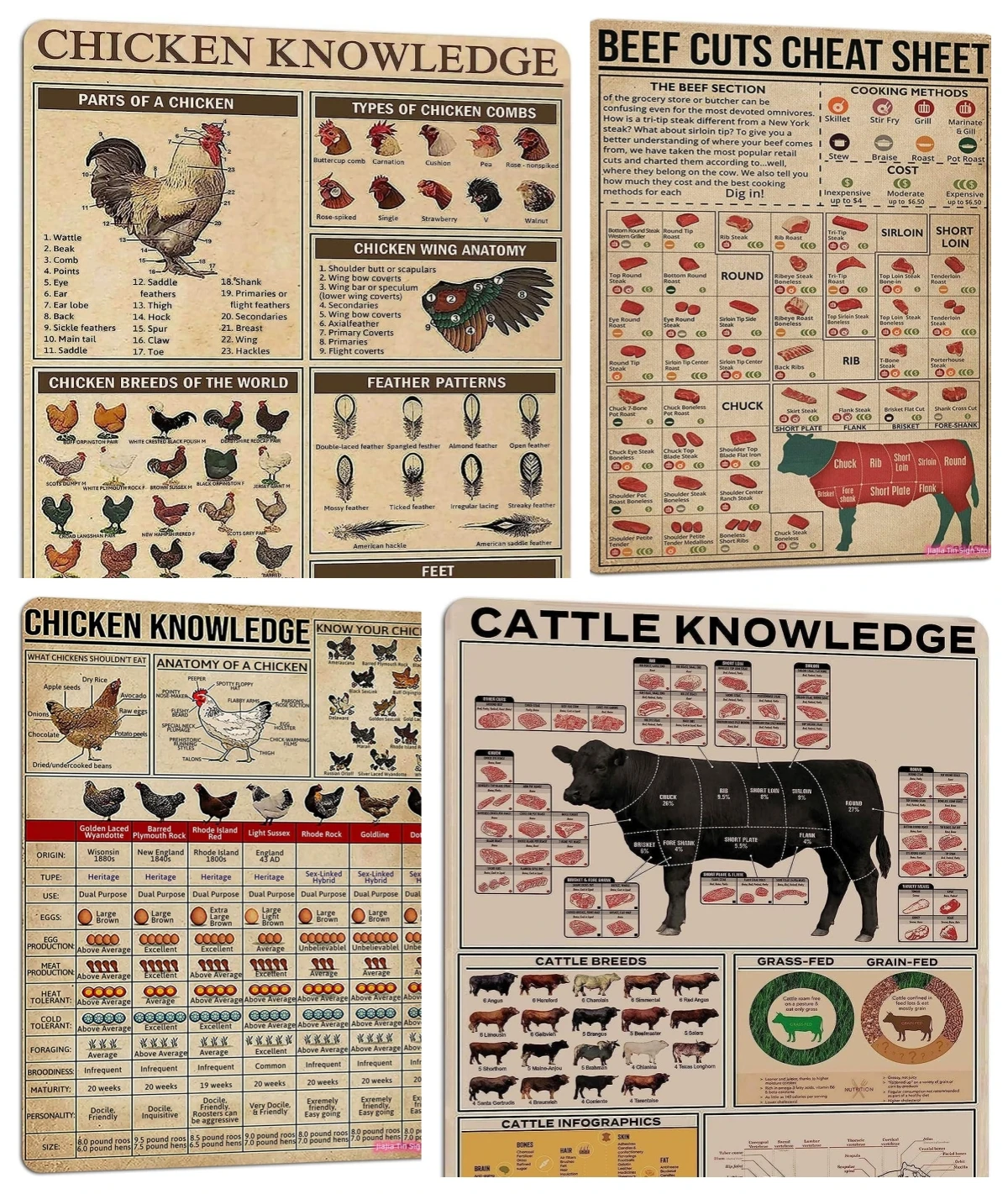 Vintagebeef Bubba Eating Rain