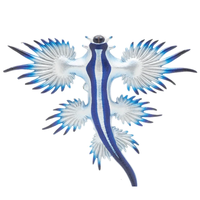 Blue Angel Sea Creature
