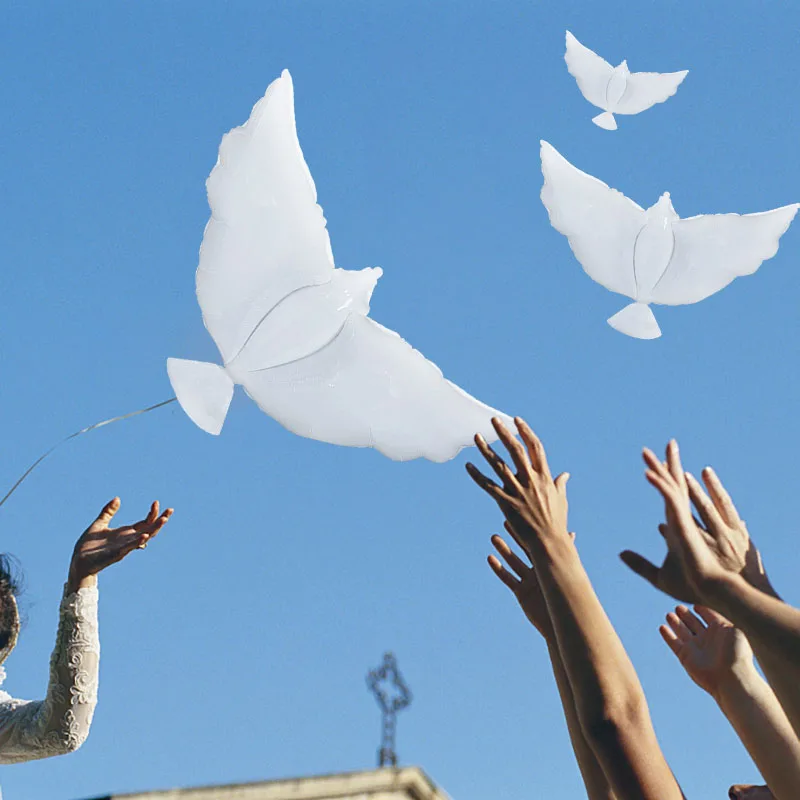Peace Pigeons Flying