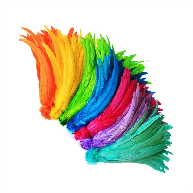 Wholesale 100Pcs/Lot All Sizes Colored Rooster Feathers for Crafts Fly ...
