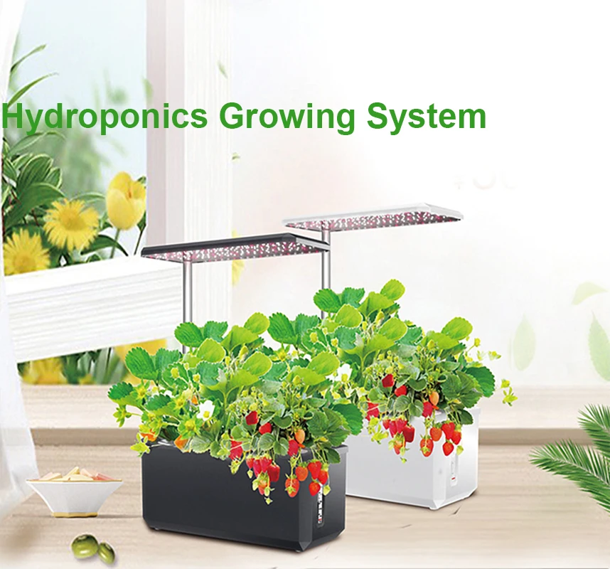 Eco-Friendly Hydroponic Systems for Efficient Gardening