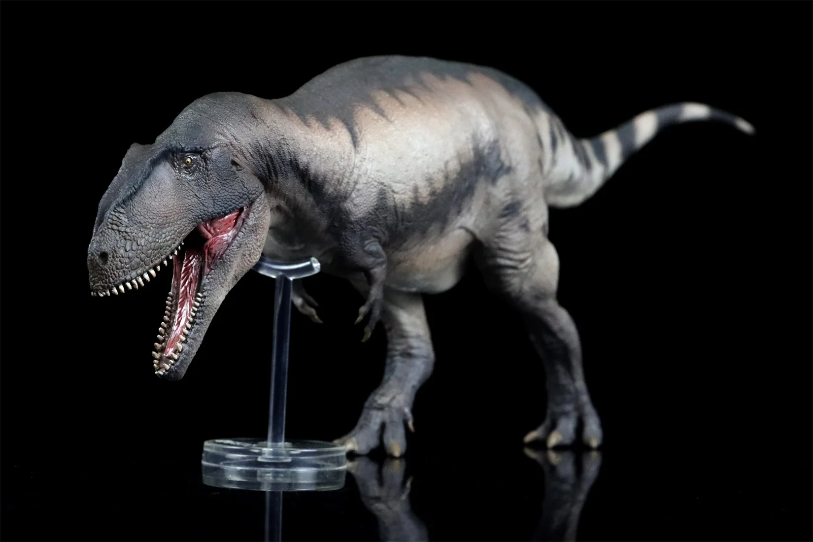 Carcharodontosaurus Vs Mapusaurus