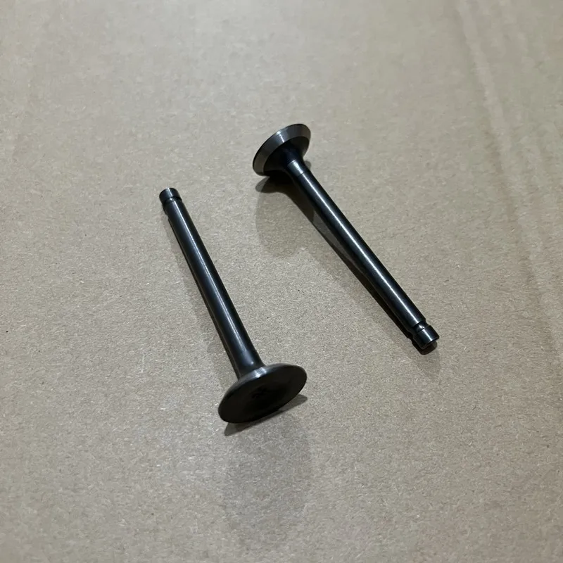 1SET-EH12-VALVE-IN-EX-SET-FOR-ROBIN-SUBARU-EH-12-EH12-2D-EH12-2B ...