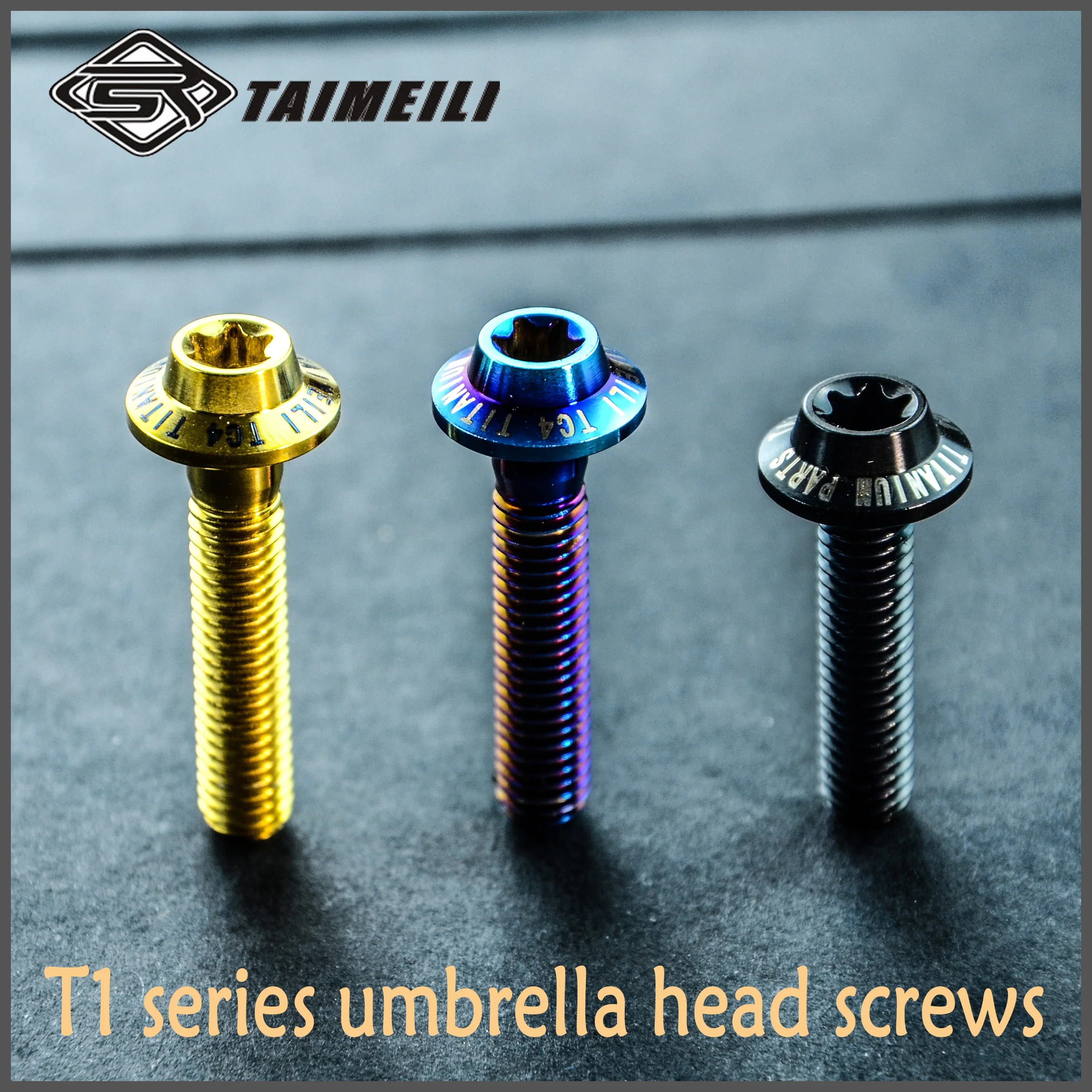 TAIMEILI-1pcsTitanium-alloy-screw-T1-series-umbrella-head-screw-Torx ...
