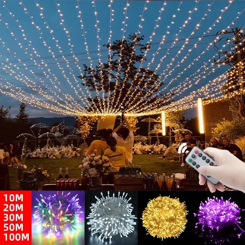 5M-100M-Led-Christmas-Lights-Outdoor-led-Fairy-String-Lights-for-Tree ...