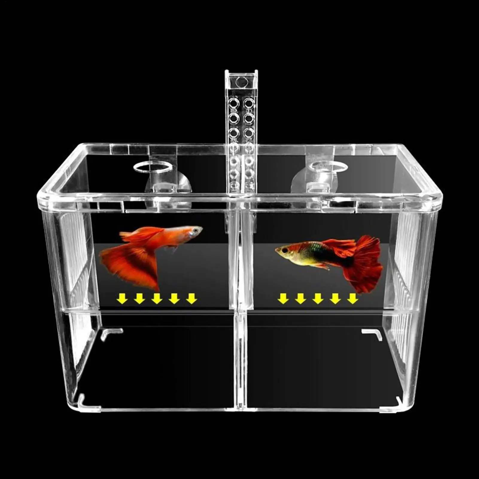 Aquarium Isolation Box Fish Tank Small Fry Breeding Box Multifunction ...