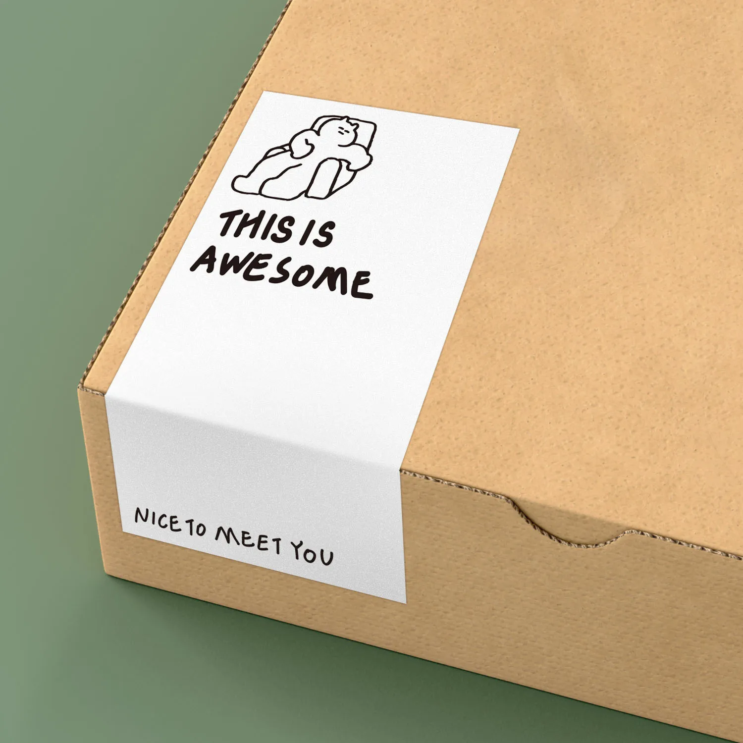 Nice Package Box