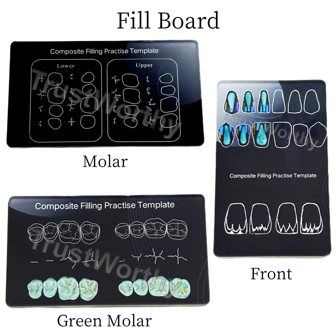 3Sizes-Dental-Composite-Resin-Filling-Practise-Template-Teeth ...