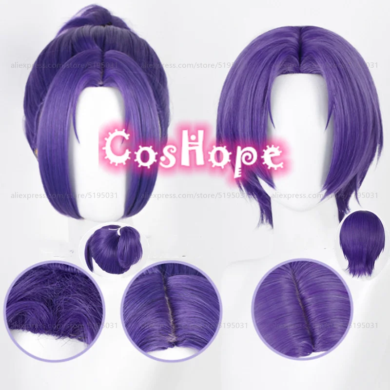Reo Mikage Cosplay Wig Short Pre Styled Purple Wig Cosplay Anime ...