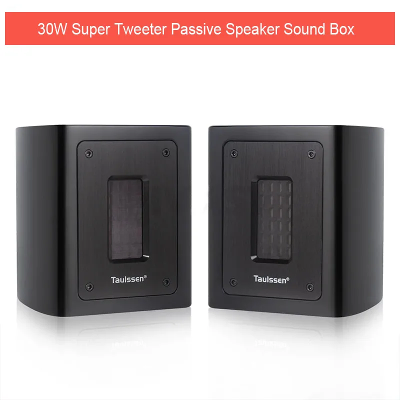30W-5Ohm-Brand-New-Fever-Independent-Ribbon-Super-Tweeter-External ...