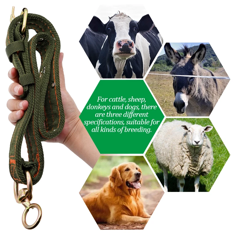 Sheep Dog Collar | ppgbbe.intranet.biologia.ufrj.br