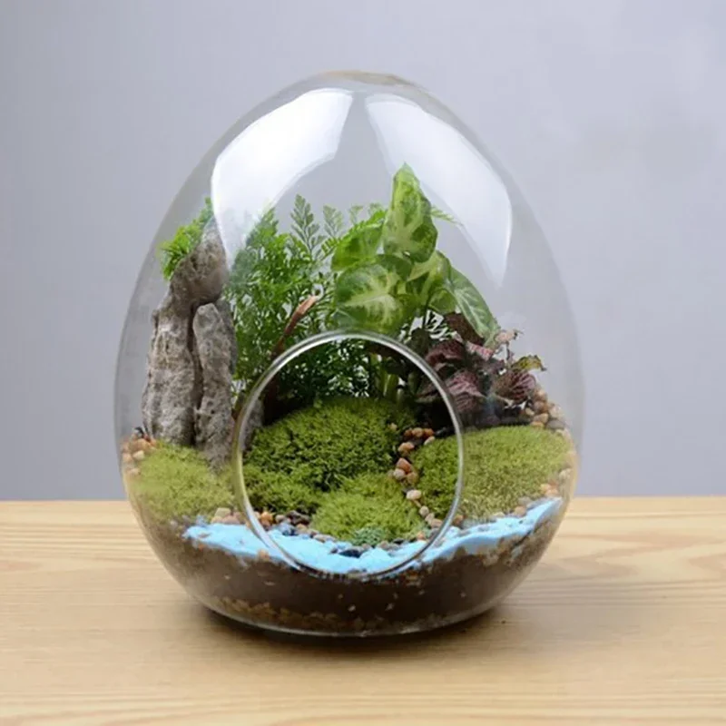 Creative Egg-shaped Glass Bottles, Hydroponic Vase, Fleshy Micro ...