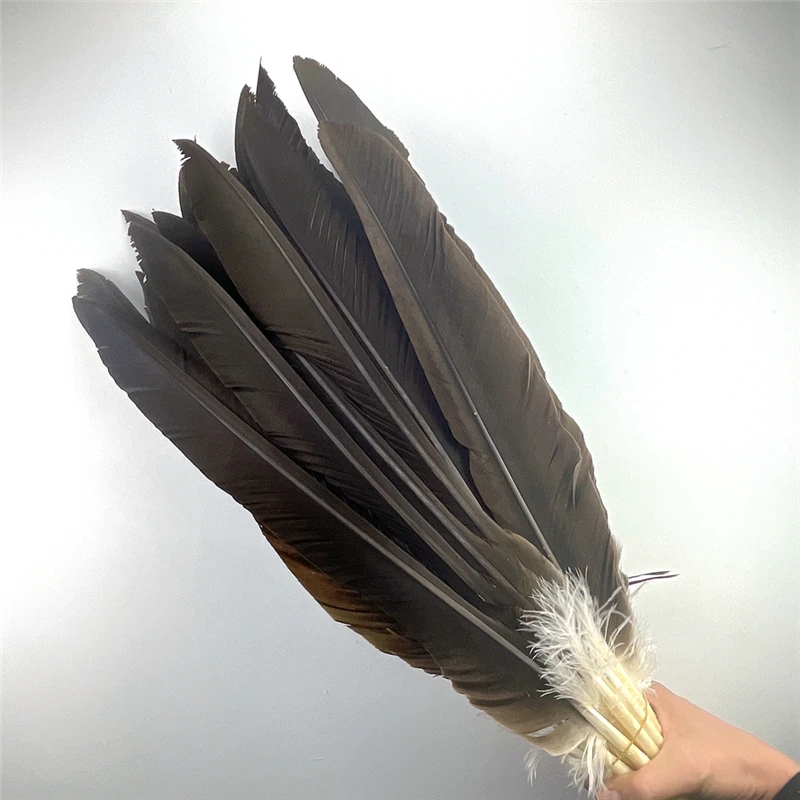 African Eagle Feathers