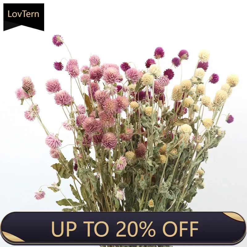 Room-DecorLovTernPreserved-Fresh-Flower-Home-Decoration-Gomphrena ...