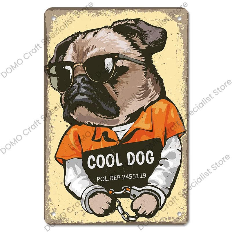 Super Cool Dog