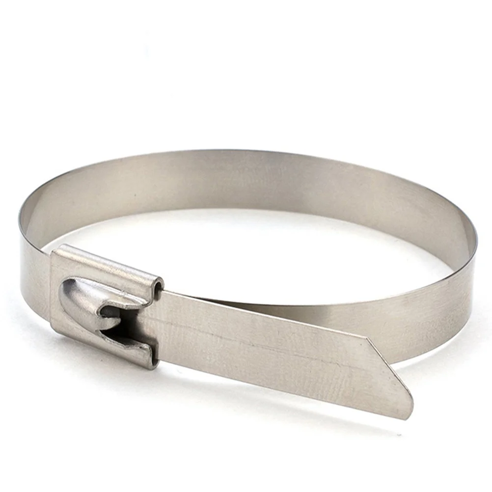 30-Pcs-Metal-Zipper-Tie-Chain-Heat-resistant-Cable-Ties-Data-Organizers ...