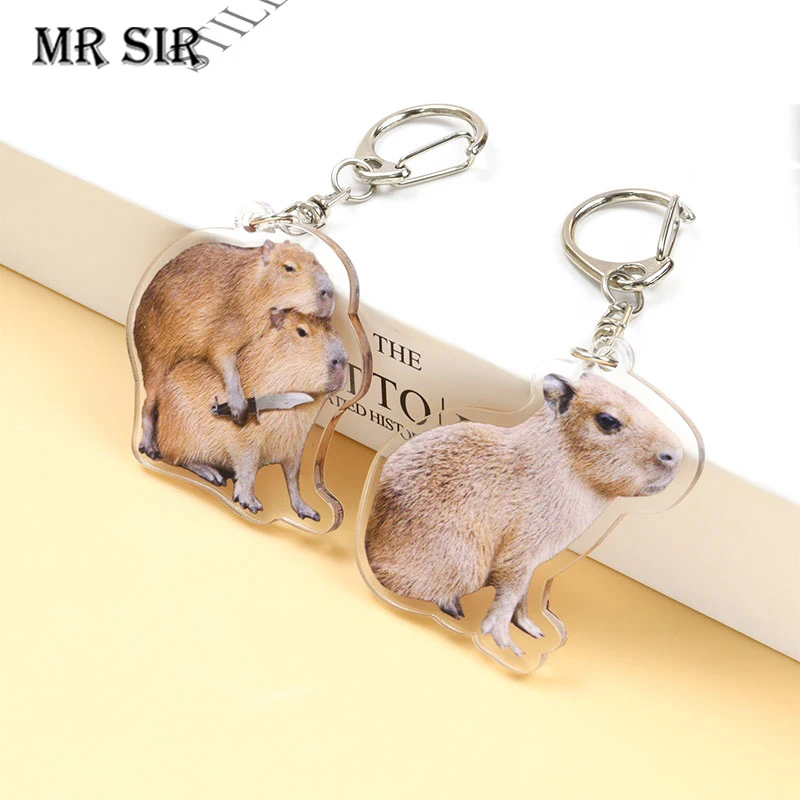 Creative Capybara Acrylic Keychain KeyRing Cute Cartoon Animal ...