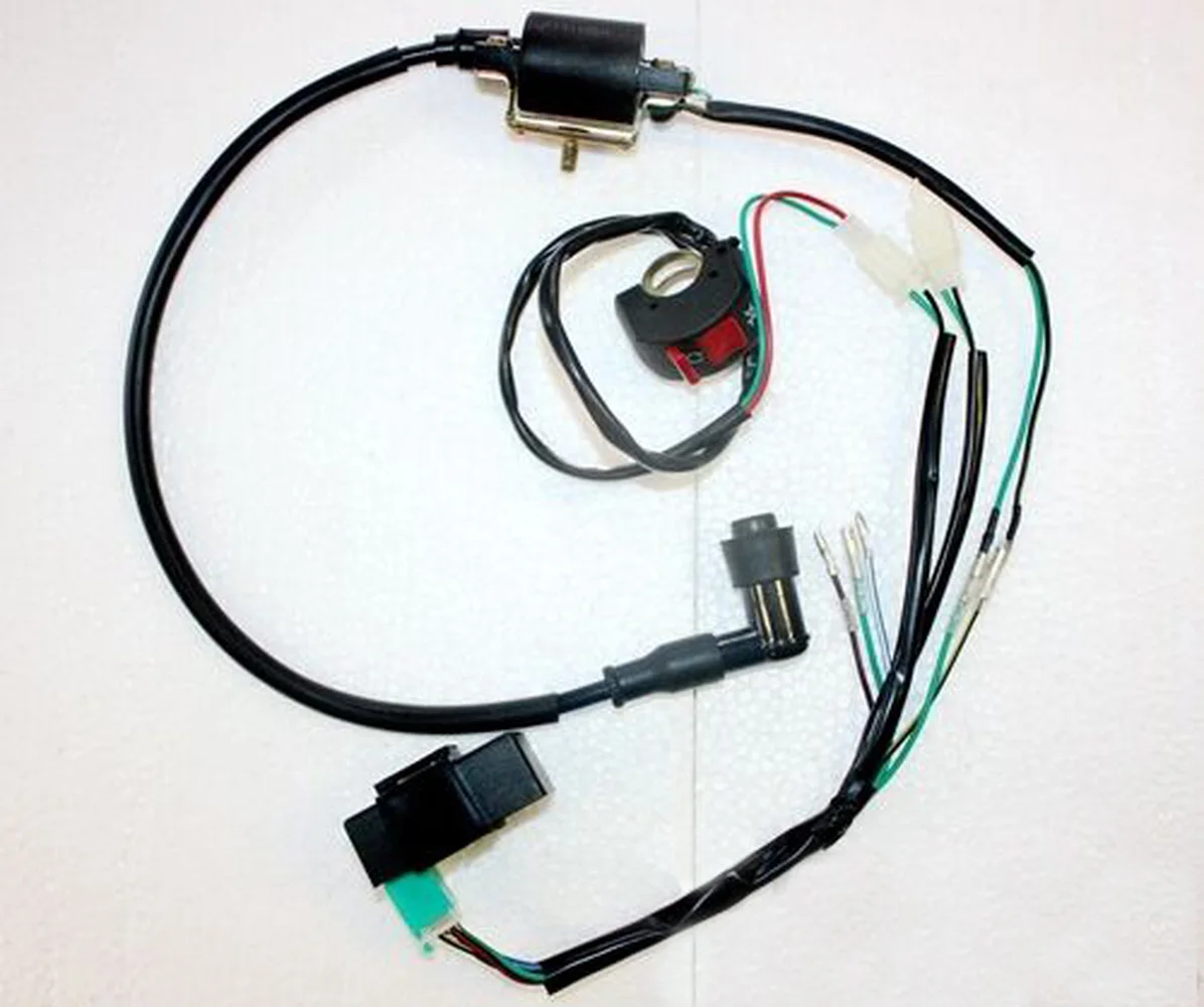Complete-Kick-Start-Engine-Wiring-Harness-Loom-CDI-Ignition-Coil-Kill ...