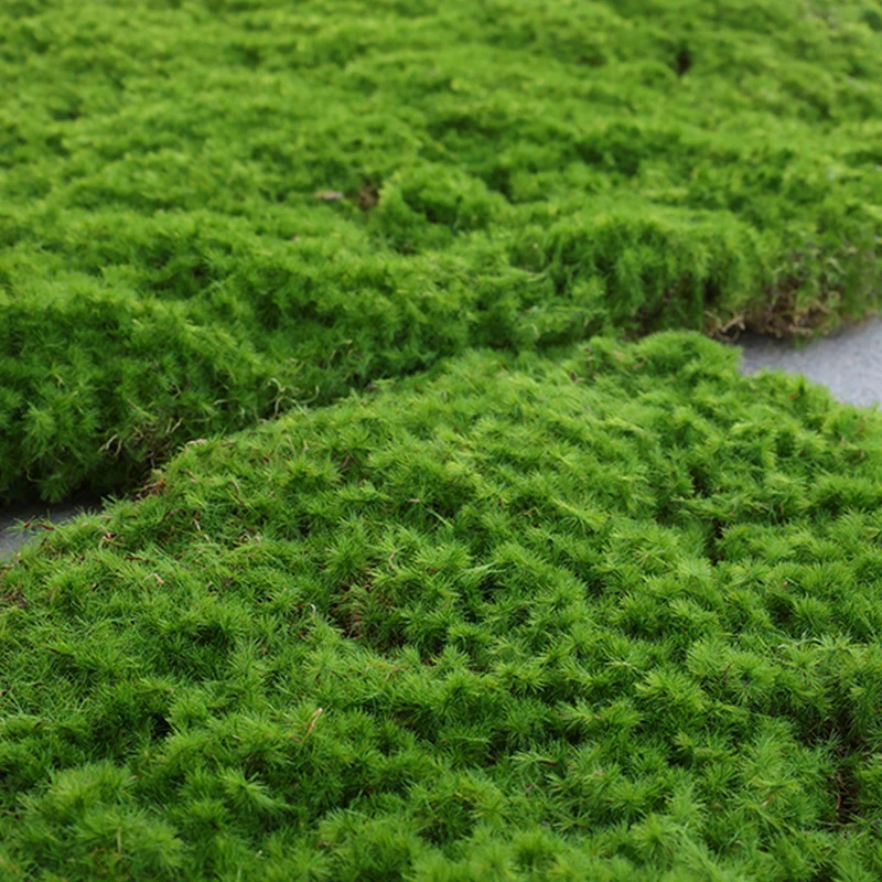 Artificial Green Plant Wall Moss Turf | Simulation Moss Turf Lawn Wall ...