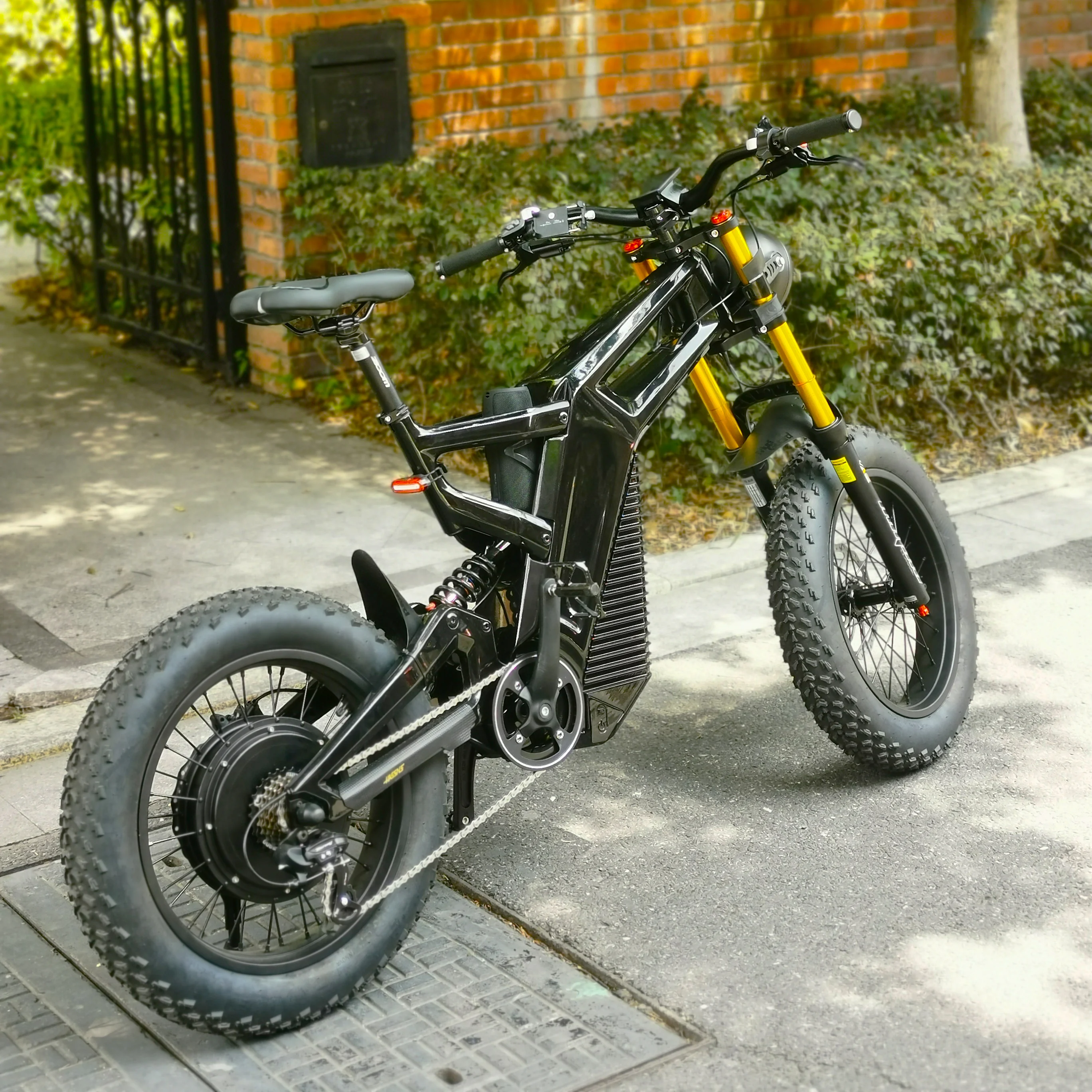 SurRon-bicicleta eléctrica de montaña para adulto, Ebike de 48V, 25A ...