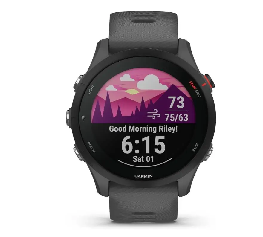 Original Garmin Forerunner 255, GPS Running Smartwatch, Advanced ...