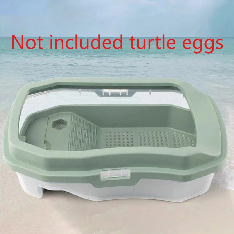Creative Turtle Box Pet Turtles Terrarium Large Luxury Terrarium ...