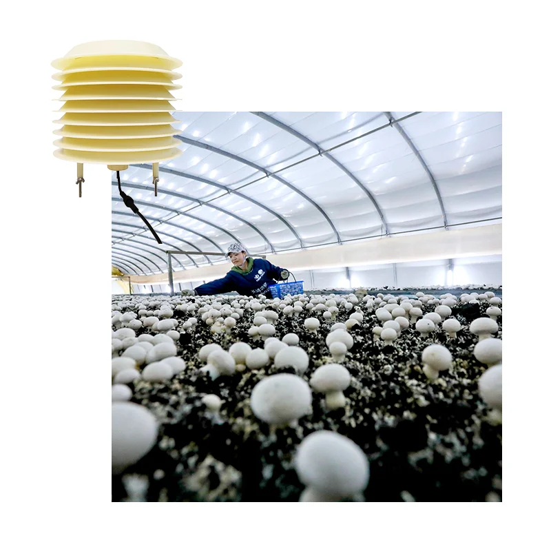 Multi Gas Sensor for Mushroom Greenhouse Real-Time Air Quality Monitor ...