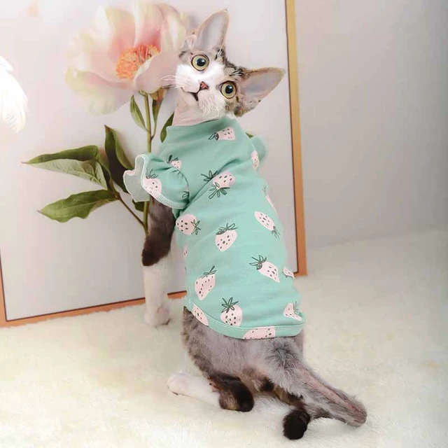 Tatty Sphynx Cat Clothes