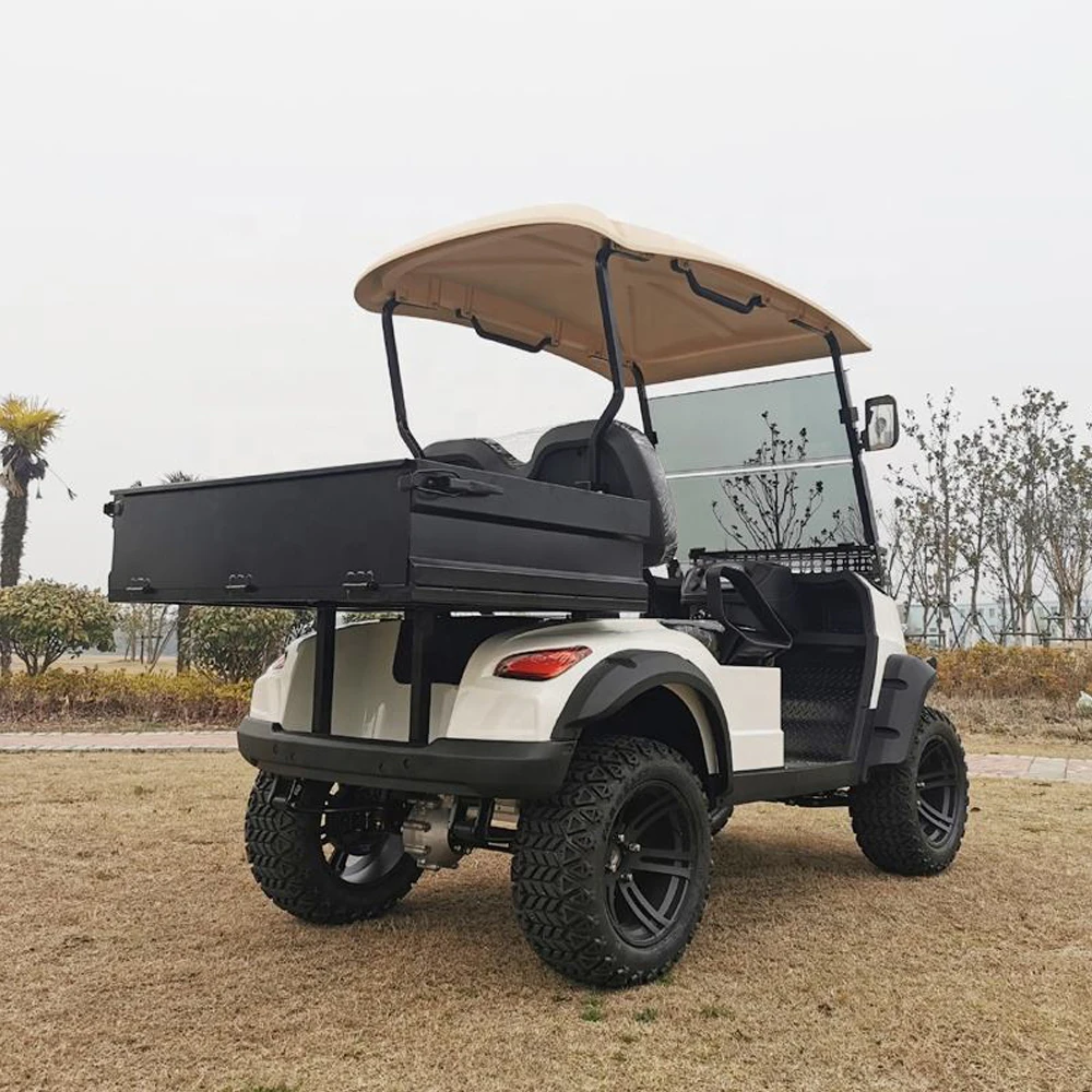Latest-Electric-Golf-Cart-4KW-60V-Mini-Electric-Off-Road-Beach-Electric ...