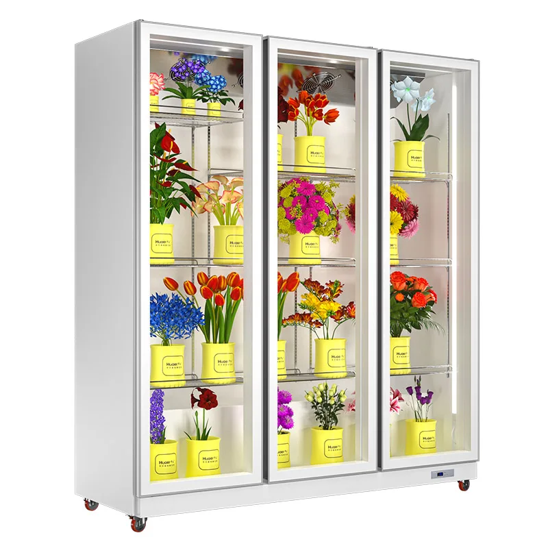 Vitrina-refrigerada-para-flores-refrigerador-ligero-de-lujo-con-dise-o ...