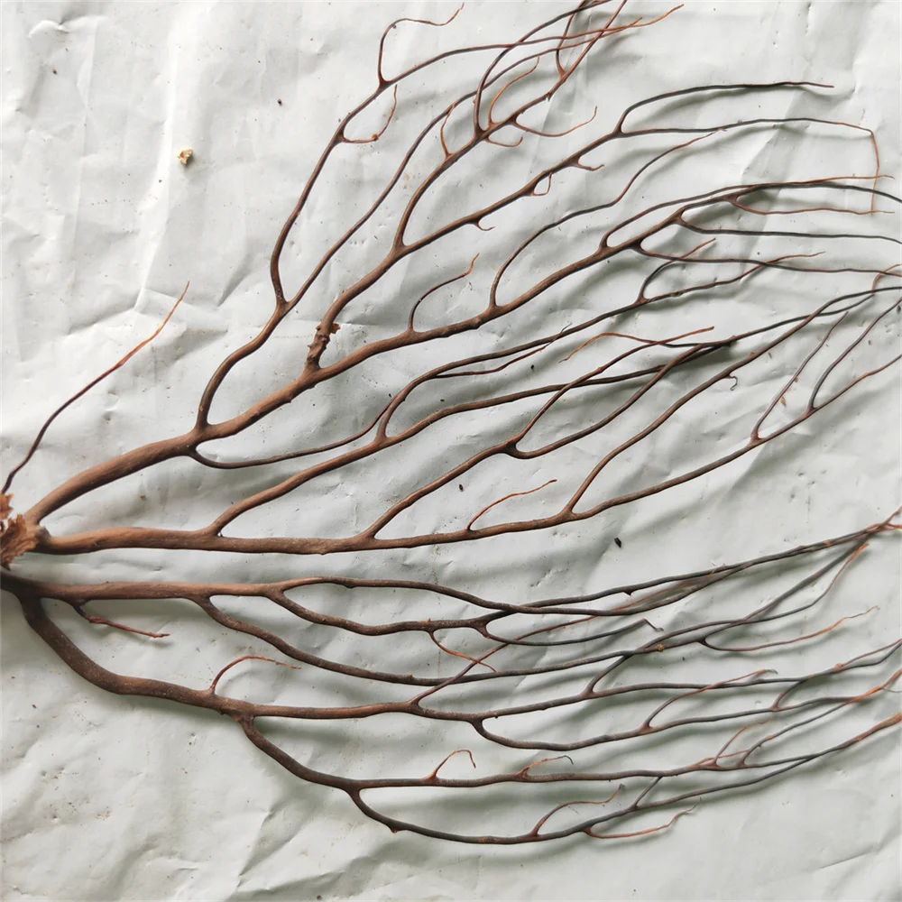 Coral-Wood-Fishtank-ornaments-Lanscaping-decor-Drift-wood-Aquarium ...