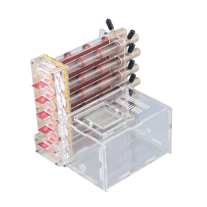 12-PCS-Bamboo-Test-Tube-Ant-Nest-with-Hunting-Area-Acrylic-Ant-Farm-Ant ...