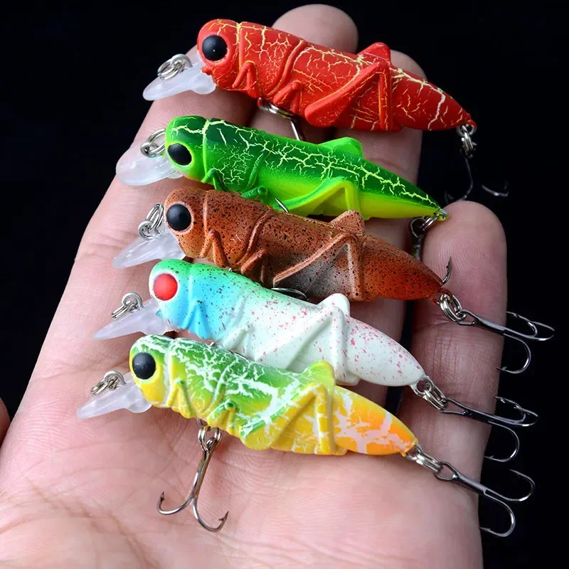 Grasshopper-insect-Luya-silver-carp-grass-fish-hard-Top-fishing-gear ...
