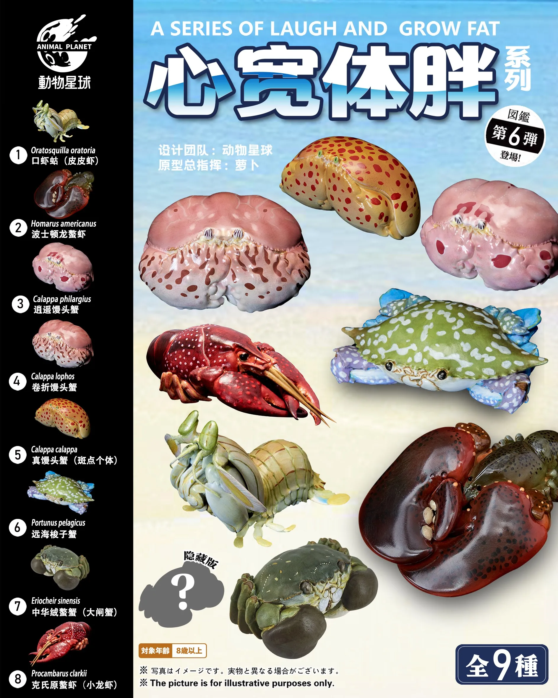 Animal-Planet-Heart-Wide-Body-Fat-Series-N-6-Concha-criatura-de-marisco ...