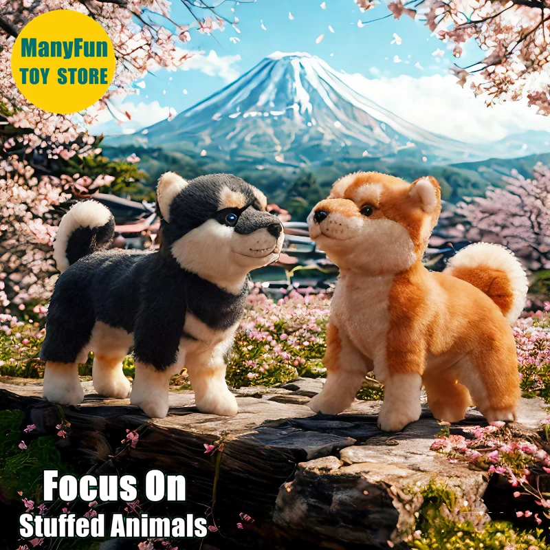 S0f379d5821934542bb3b0bcd09fa4f32w.png