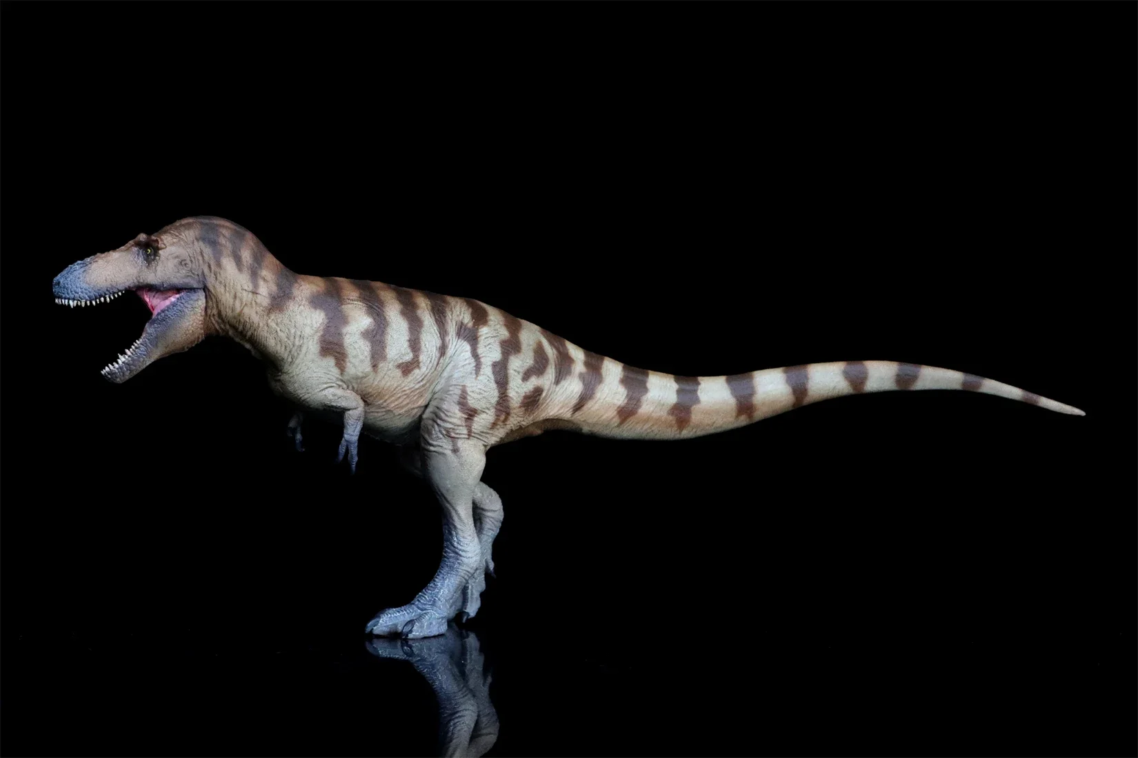 Daspletosaurus