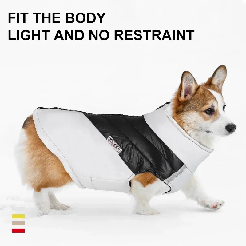 S0f56a655c126402fa0e211cc182305afd.jpg