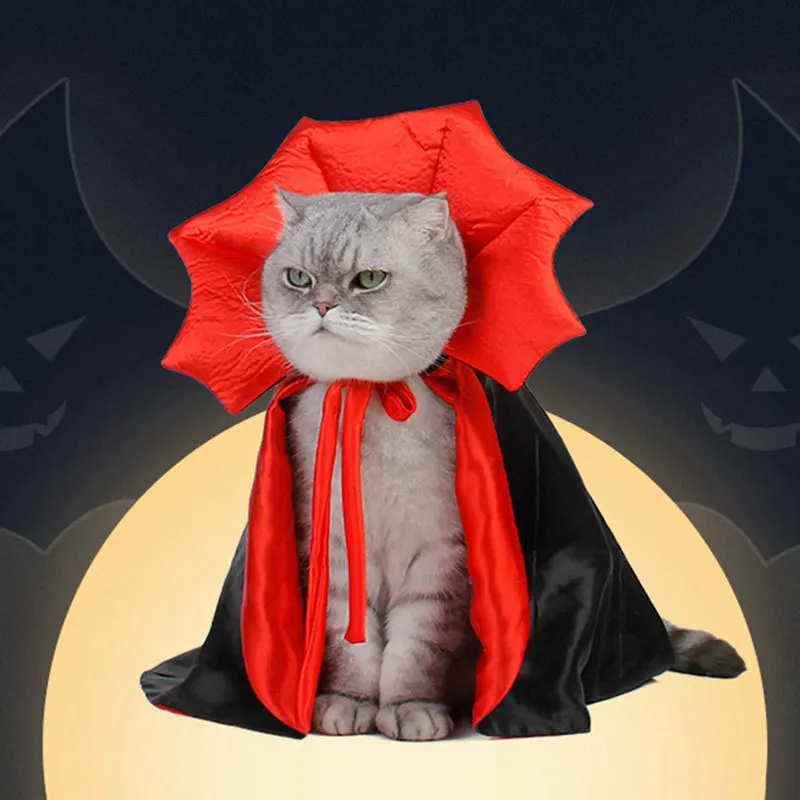 Pet Costume Cat