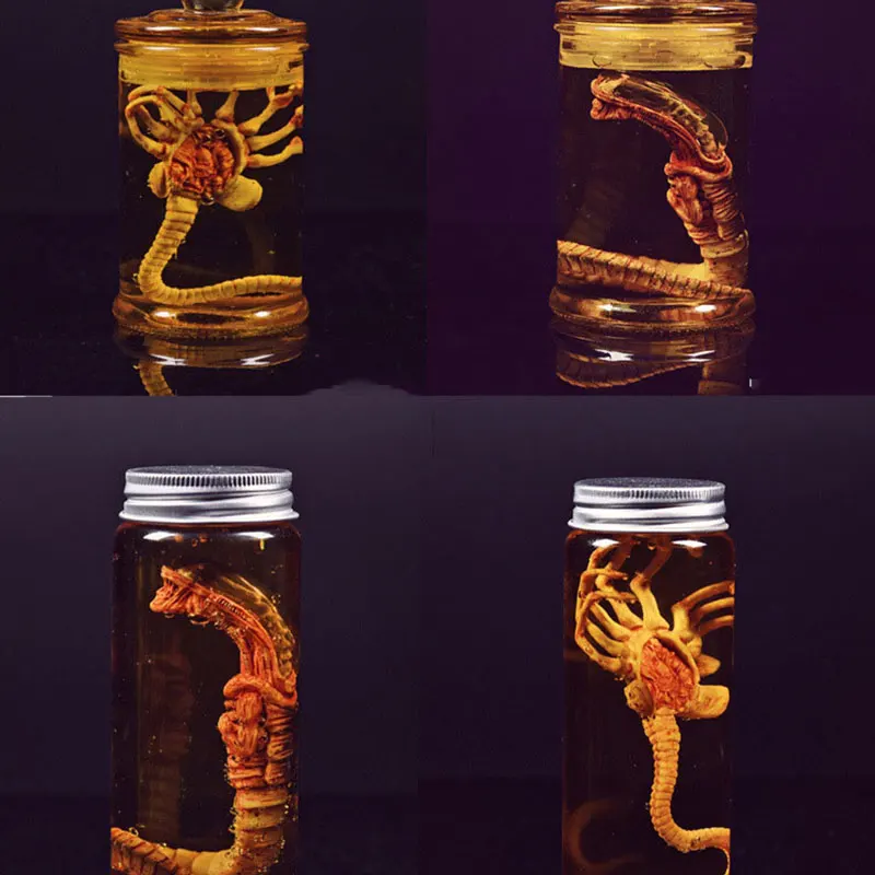 Alien-Glow-Jar-Xenomorph-Specimen-Facehugger-Embryo-Glass-Jar-Movie ...